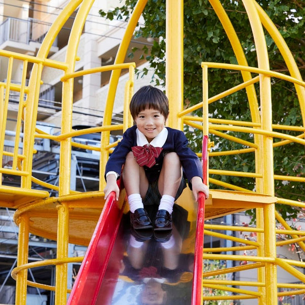 Playgrounds With 21 - 30 Elevated Components